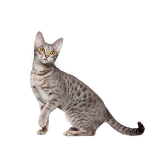 Sites-Purina_AU-Site